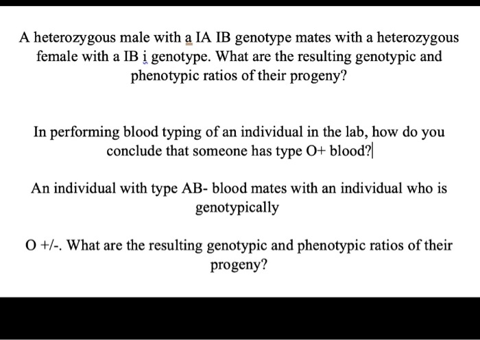 SOLVED: heterozygous male with a IA IB genotype mates with a ...