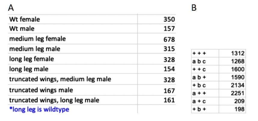 SOLVED: Determine the gene order (which gene is in the middle?Construct ...