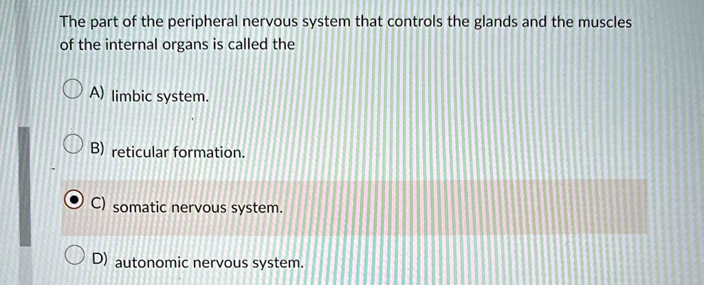 the part of the peripheral nervous system that controls the glands and ...