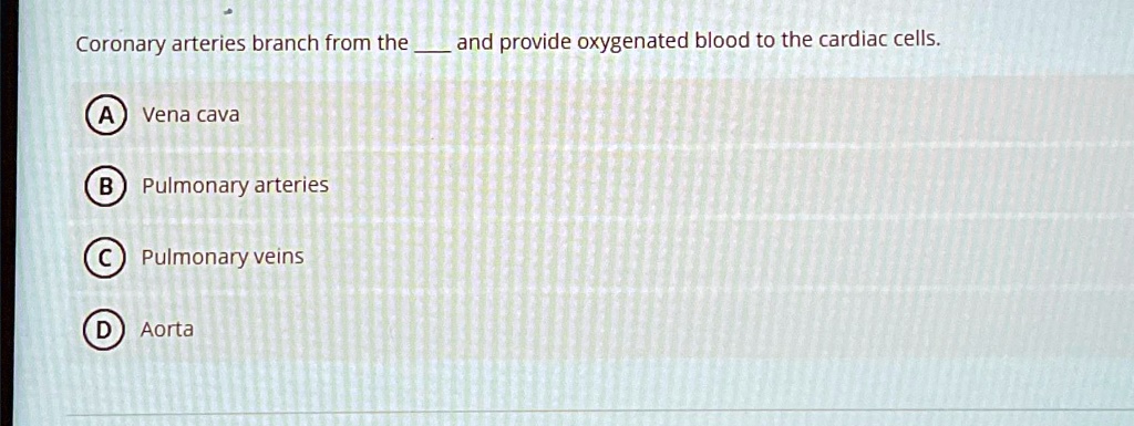 SOLVED: Coronary arteries branch from the aorta and provide oxygenated blood to the cardiac ...