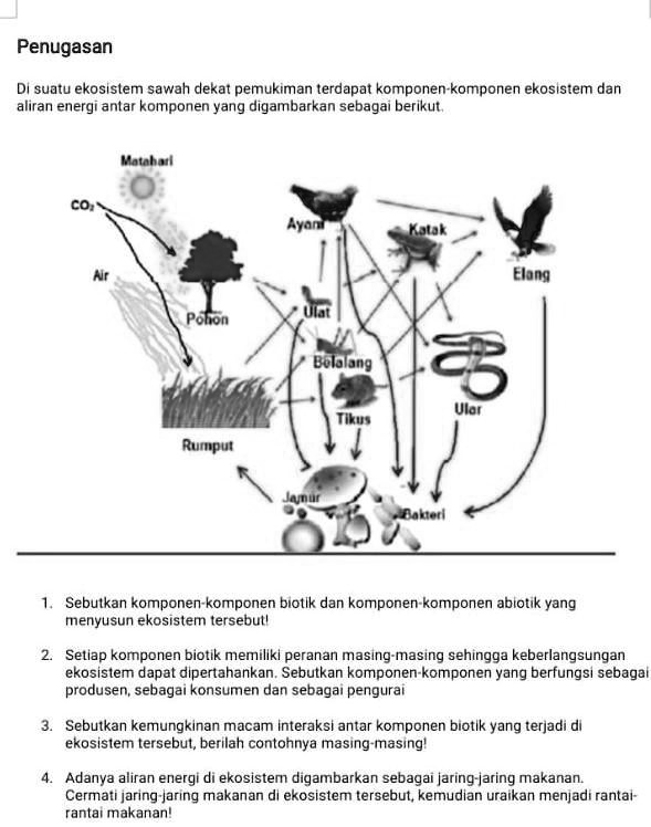 kak tolong dong kak besok di kumpul penugasan di suatu ekosislem sawah ...