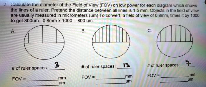 calculate the diameter of the field of view fov on low power for each ...