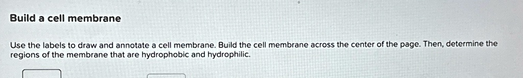 Build a cell membrane Use the labels to draw and annotate a cell membrane. Build the cell ...