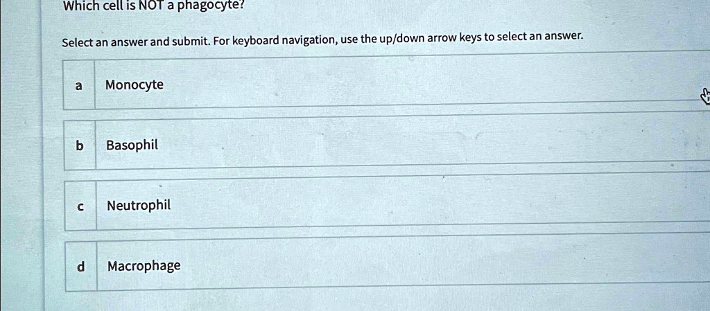 SOLVED: Which cell is NOT a phagocyte? Select an answer and submit. For keyboard navigation, use ...