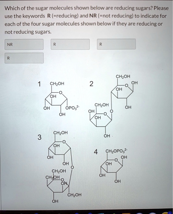 SOLVED: Which of the sugar molecules shown below are reducing sugars ...