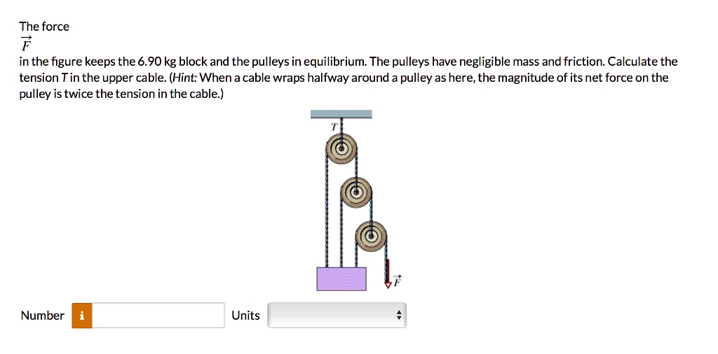 SOLVED: The force in the figure keeps the 6.90 kg block and the pulleys ...