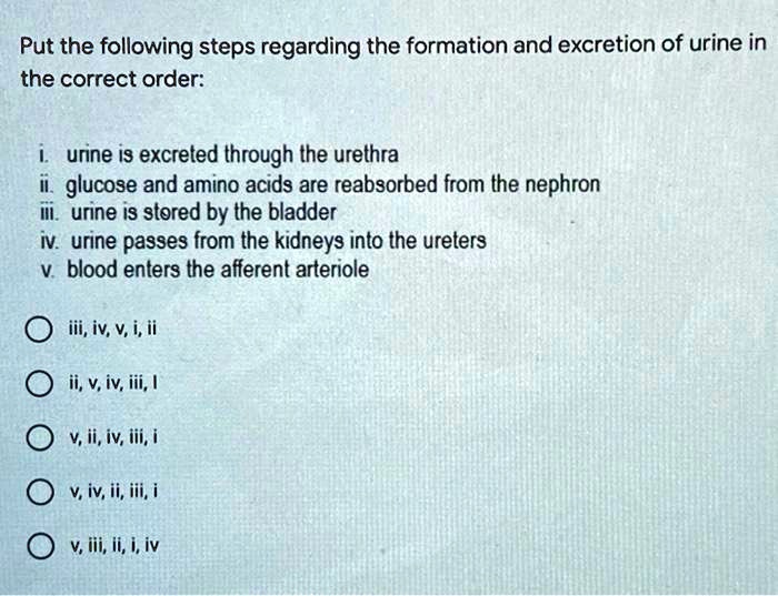 SOLVED: Put the following steps regarding the formation and excretion of urine in the correct ...