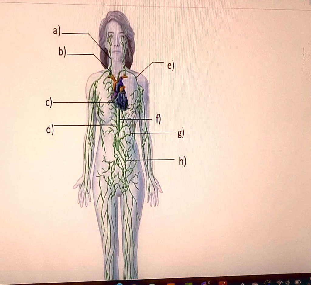 A). b) e) c) f) d) g) h)