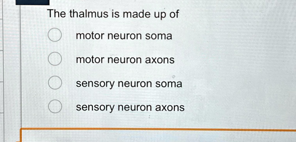 The thalmus is made up of motor neuron soma motor neuron axons sensory ...