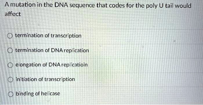 a mutation in the dna sequence that codes for the poly u tail would ...