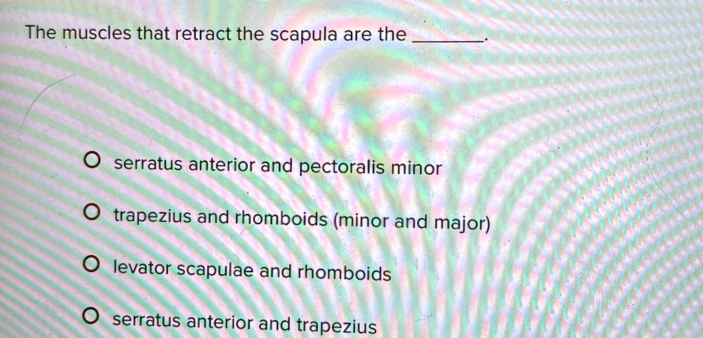 The muscles that retract the scapula are the serratus anterior and ...