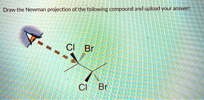 SOLVED: Draw the Newman projection of the following compound and upload your answer: Br Cl Br