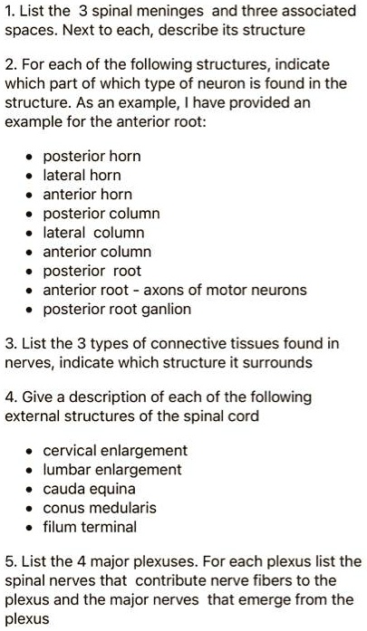1. List the 3 spinal meninges and three associated spaces. Next to each ...