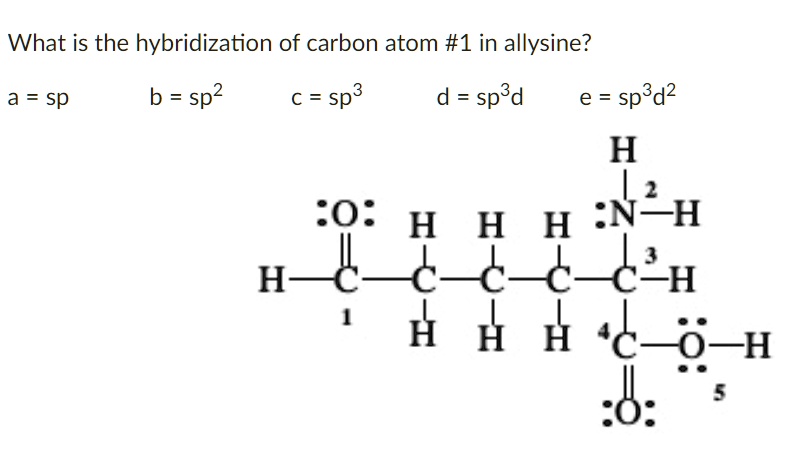 SOLVED: What is the hybridization of carbon atom #1 in allysine? a = sp ...
