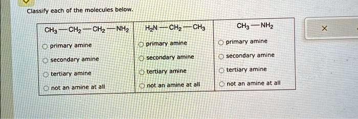 Classify each of the molecules below. CH3-CH2-CH2-NH2 primary amine secondary amine tertiary ...