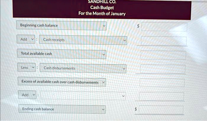 SANDHILL CO. Cash Budget For the Month of January Beginning cash ...