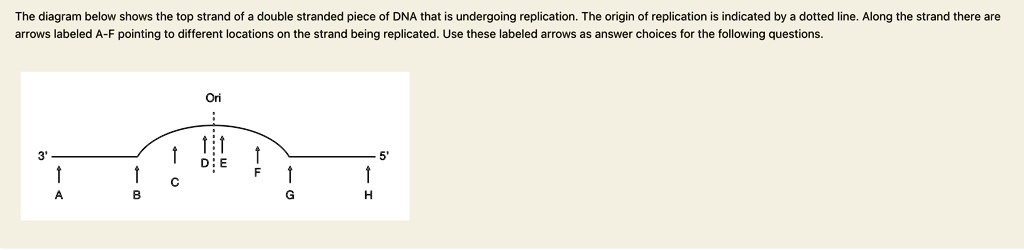 SOLVED: **IMAGE REFERENCE ATTACHED BELOW** The diagram below shows the ...