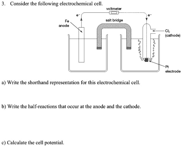 SOLVED: Consider the following electrochemical cell: voltmeter, salt ... SOLVED: Consider the following electrochemical cell: voltmeter, salt ...