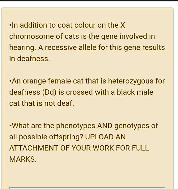 SOLVED:'In addition to coat colour on the X chromosome of cats is the ...