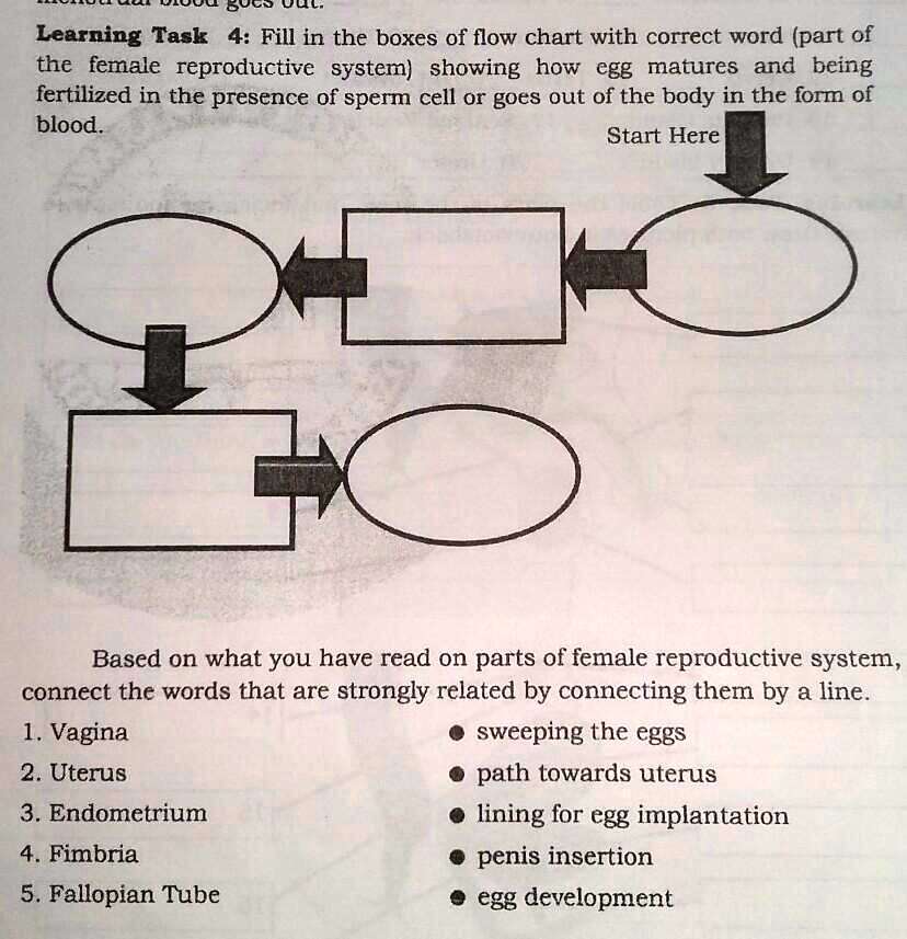 SOLVED: 'Pasagot po ng nasa baba yung connect words buco Learning Task ... SOLVED: 'Pasagot po ng nasa baba yung connect words buco Learning Task ...