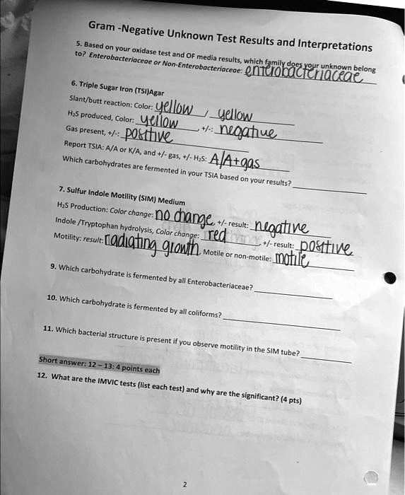 SOLVED: Gram-Negative Unknown Test Results and Interpretations 5. Based ...
