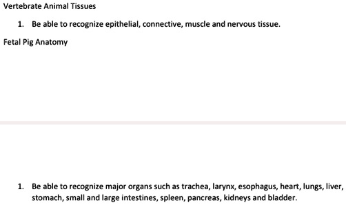 Vertebrate Animal Tissues 1. Be able to recognize epithelial ...