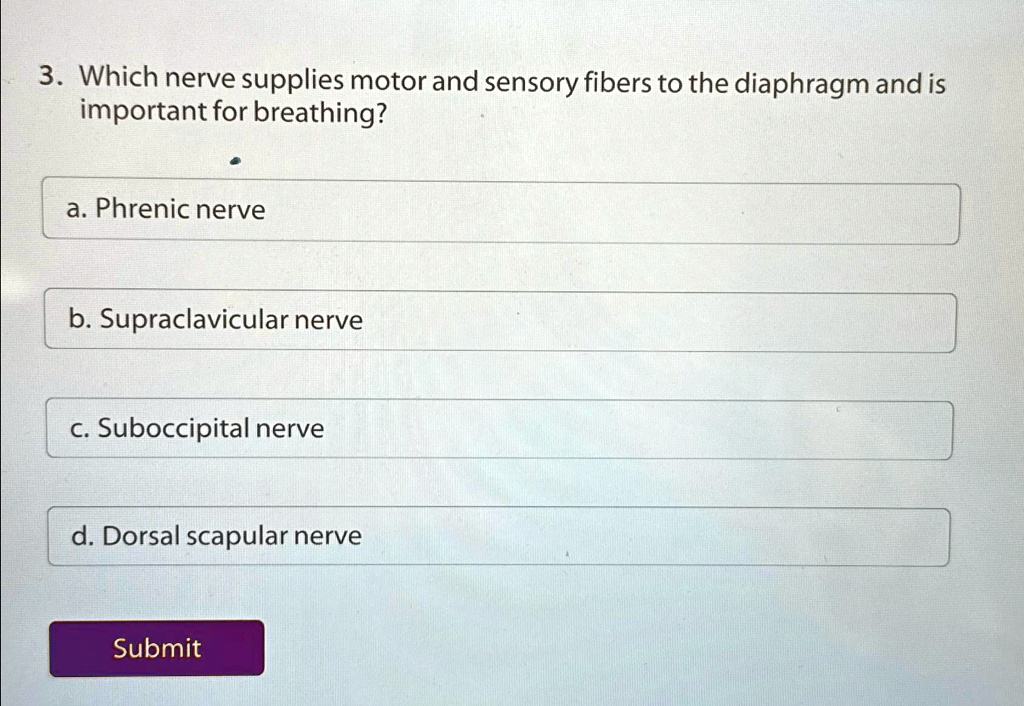 SOLVED: Which nerve supplies motor and sensory fibers to the diaphragm ...