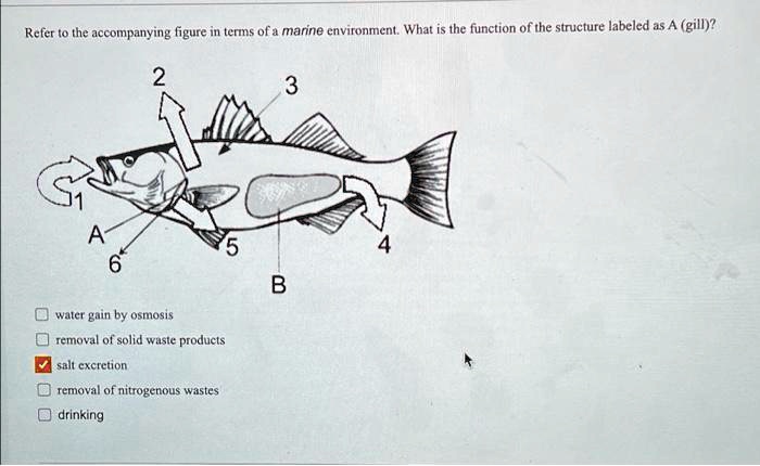 SOLVED: Refer to the accompanying figure in terms of a marine ...