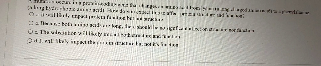SOLVED: A long hydrophobic amino acid. How do you expect this to affect ...