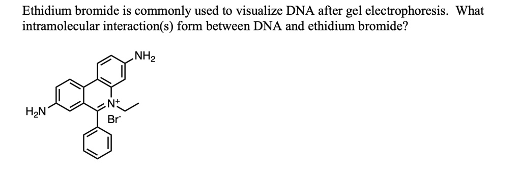 ethidium bromide is commonly used to visualize dna after gel ...