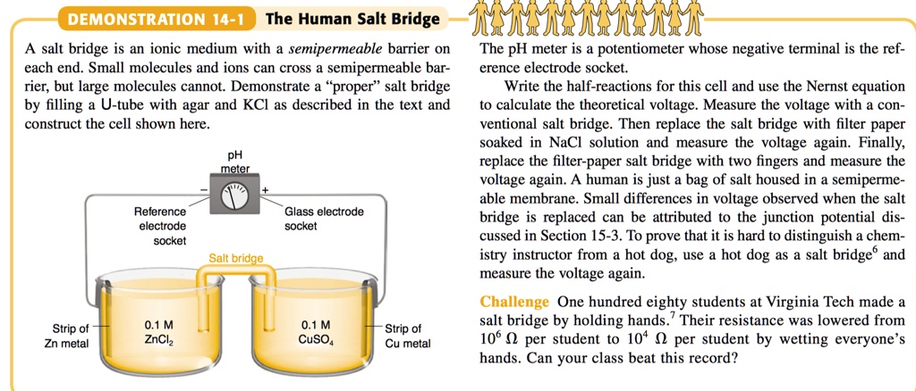 DEMONSTRATION 14-1 The Human Salt Bridge A salt bridge is an ionic ...