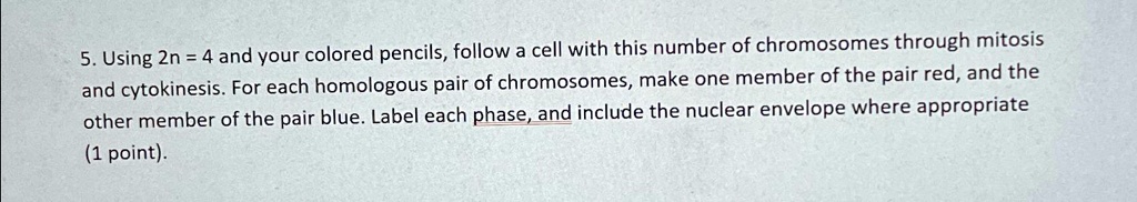 5. Using 2n = 4 and your colored pencils, follow a cell with this ...