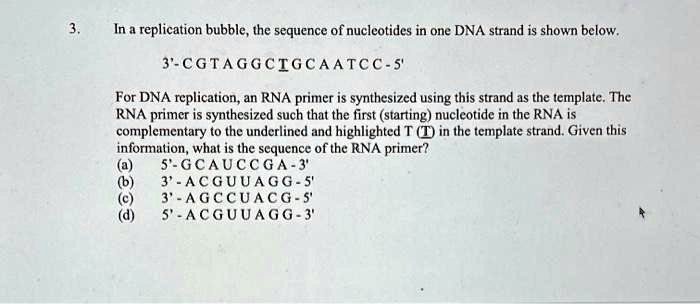 3. In a replication bubble, the sequence of nucleotides in one DNA ...