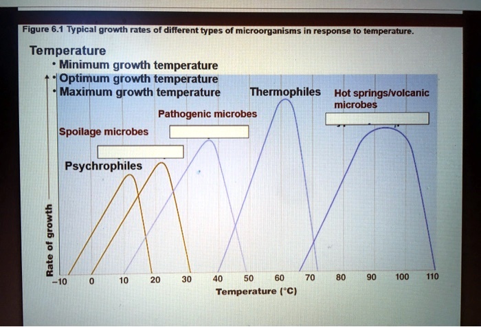 Figure 6.1 Typical growth rates of different types of microorganisms in ...