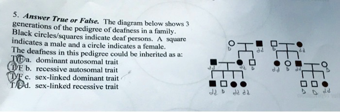 SOLVED: Answer True False: generations The diagram below shows Black of ...