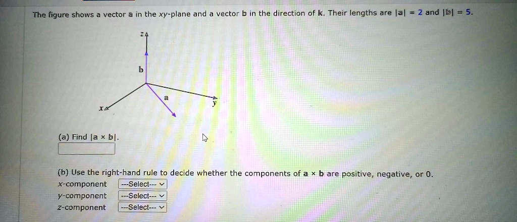 SOLVED: The figure shows a vector a in the xy-plane and a vector b in ...