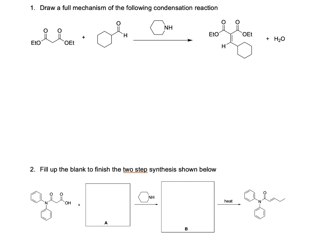 SOLVED: Draw a full mechanism of the following condensation reaction NH ...