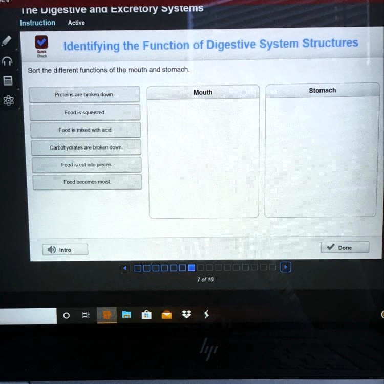 SOLVED: PLEASE HELP Sort the different functions of the mouth and stomach. Ine Digestive and ...