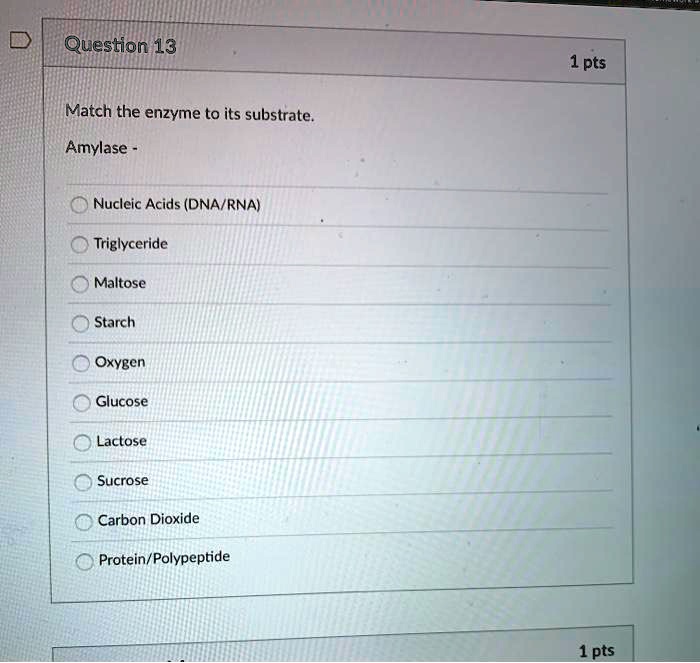Question 13 Match the enzyme to its substrate. Amylase - Nucleic Acids ...