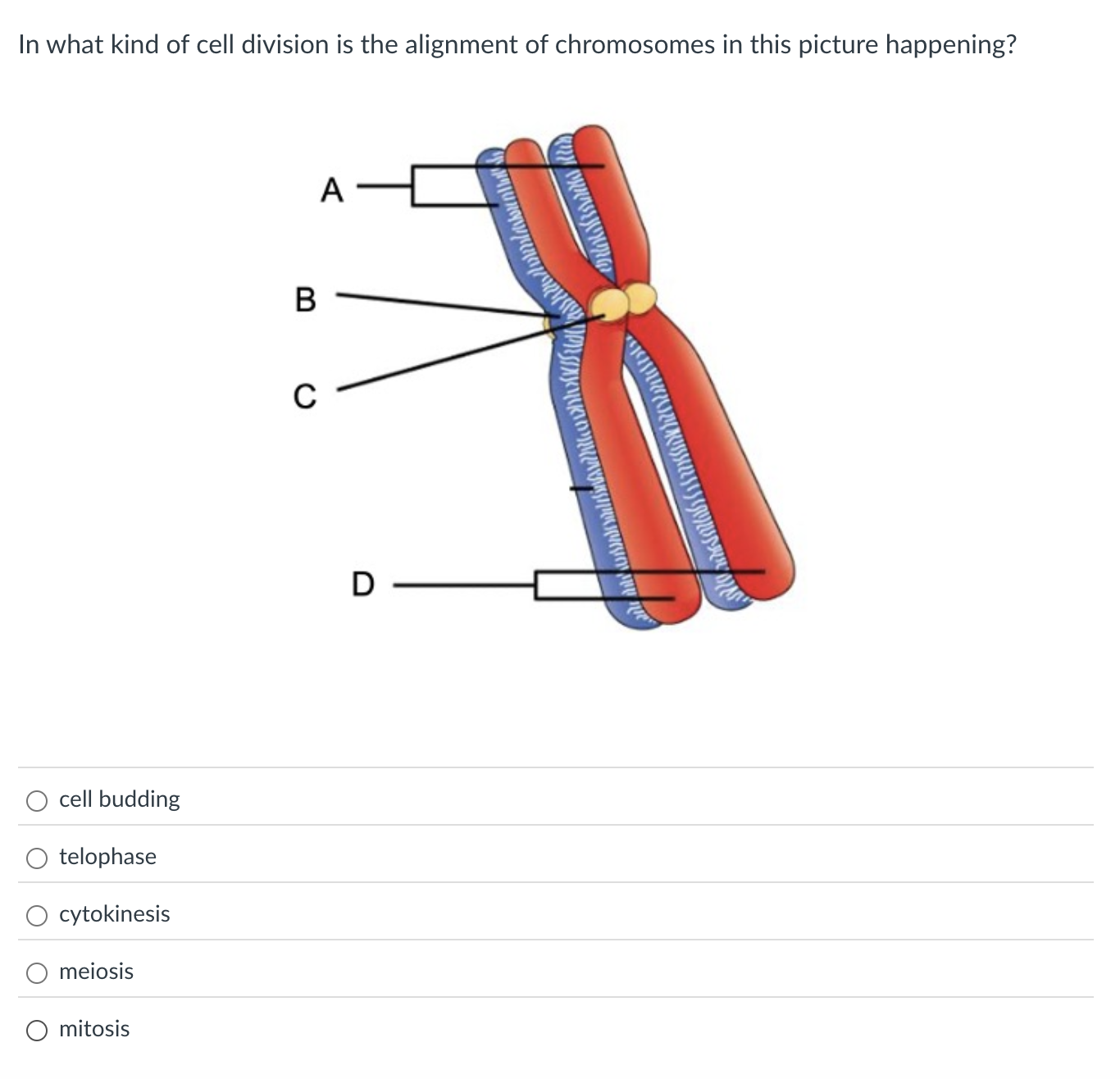 In what kind of cell division is the alignment of...
