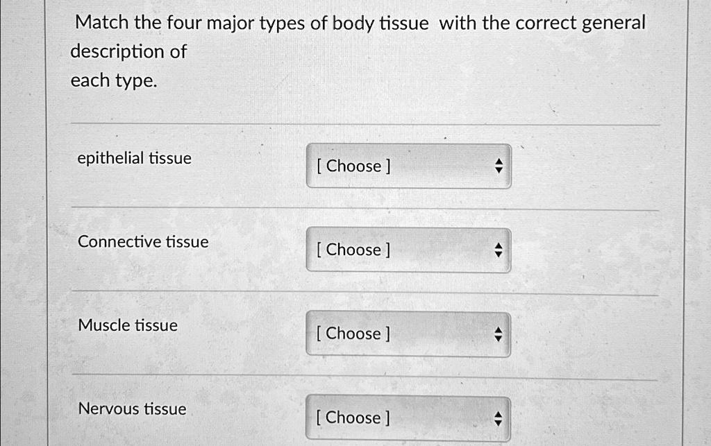 Match the four major types of body tissue with the correct general ...