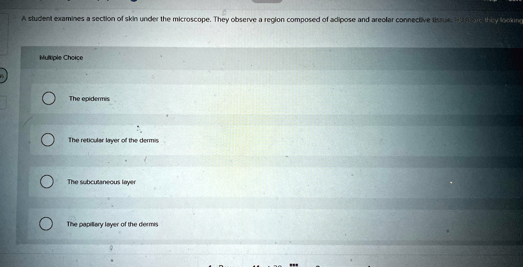 A student examines a section of skin under the microscope. They observe ...