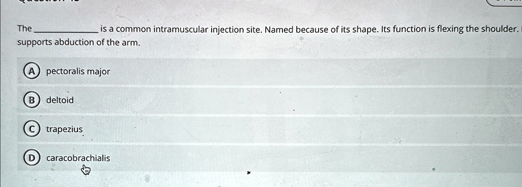 The is a common intramuscular injection site. Named because of its ...