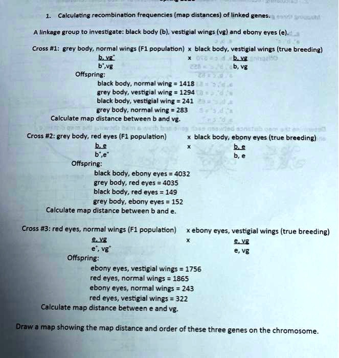 SOLVED: Calculating recombination frequencies (map distances) of linked ...