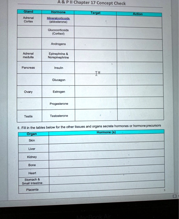 A P II Chapter 17 Concept Check Gland Hormone Adrenal Cortex ...