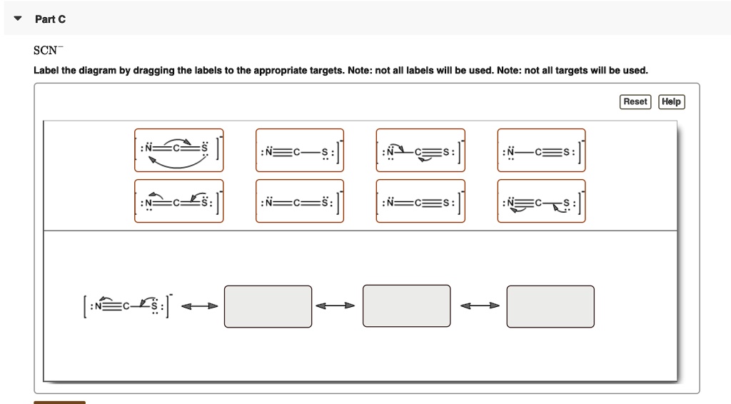 SOLVED: Part € SCN Label the diagram by dragging the labels to the ...