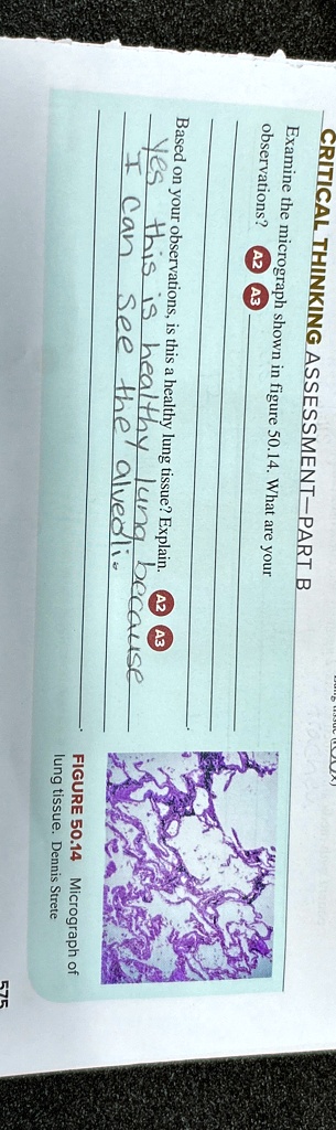 CRITICAL THINKING ASSESSMENT-PART B Examine the micrograph shown in ...