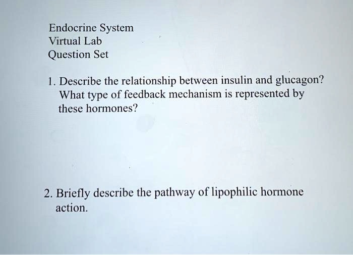 endocrine system virtual lab question set 1 describe the relationship ...