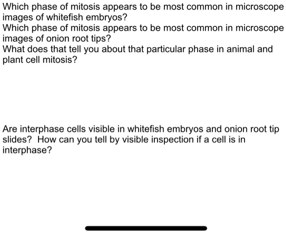 SOLVED: Which phase of mitosis appears to be most common in microscope ...