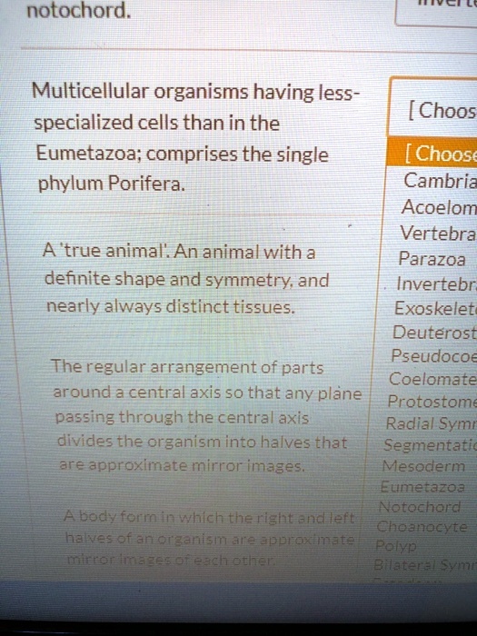 SOLVED: notochord; Multicellular organisms having less- specialized ...